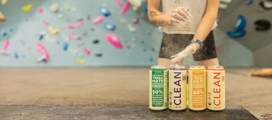 We Support Individuals Pursuing Recovery from Addiction – CLEAN Cause