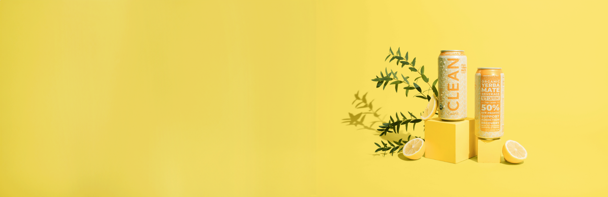 Shop organic yerba mate tea and support addiction recovery. – CLEAN CAUSE