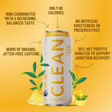 Lemonade & Tea Yerba Mate Drink | Natural Caffeine | CLEAN Cause