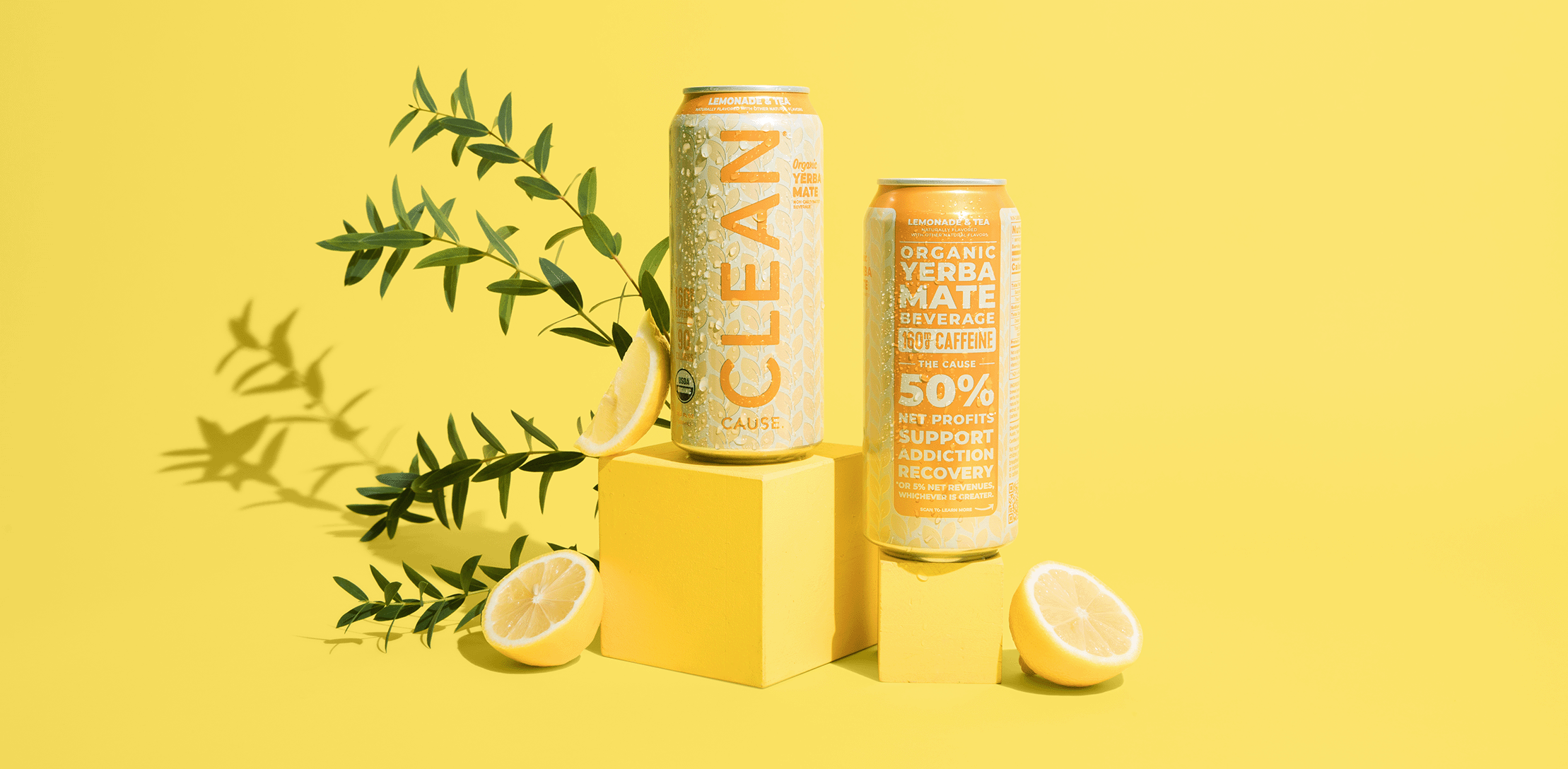 Shop organic yerba mate tea and support addiction recovery. – CLEAN CAUSE